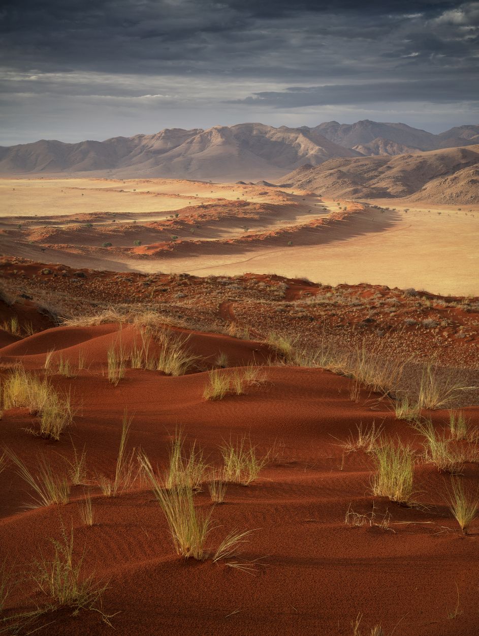 The Namib Desert, Namibia